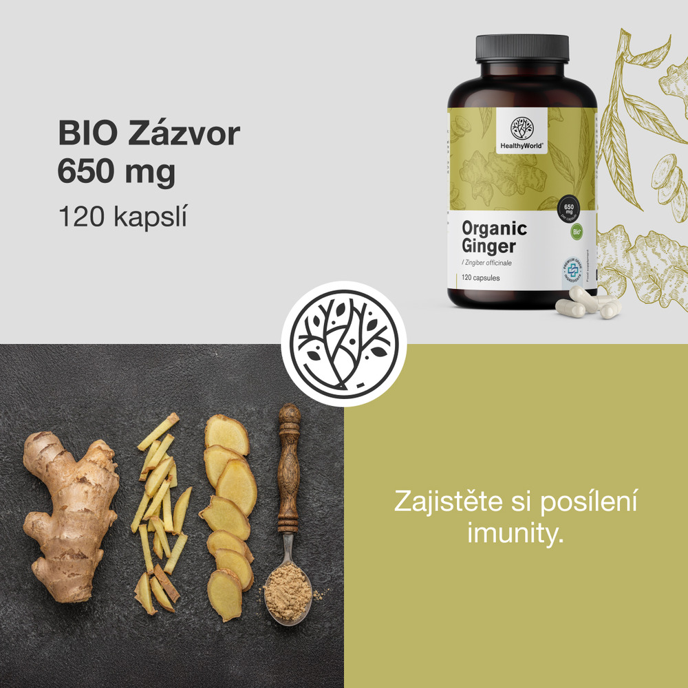 3x BIO Zázvor 650 mg, dohromady 360 kapslí - Healthy-World.cz