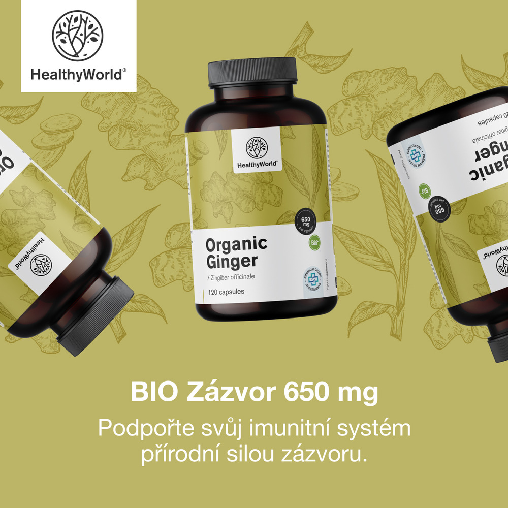 3x BIO Zázvor 650 mg, dohromady 360 kapslí - Healthy-World.cz